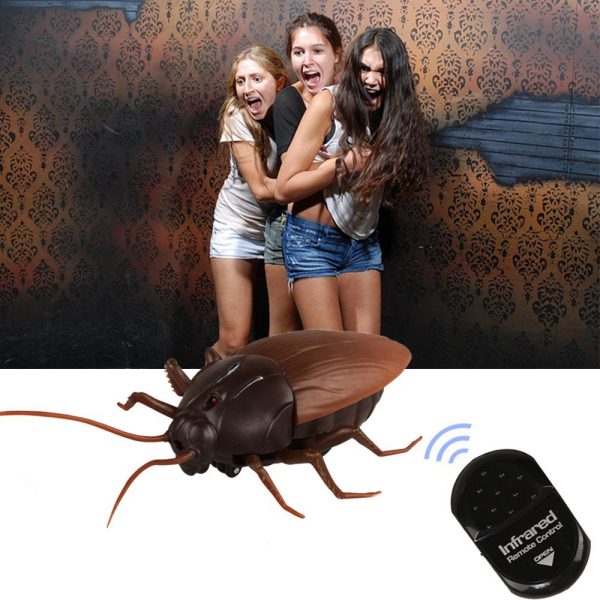 Cockroach RC Prank Toys – DesireStore.pk